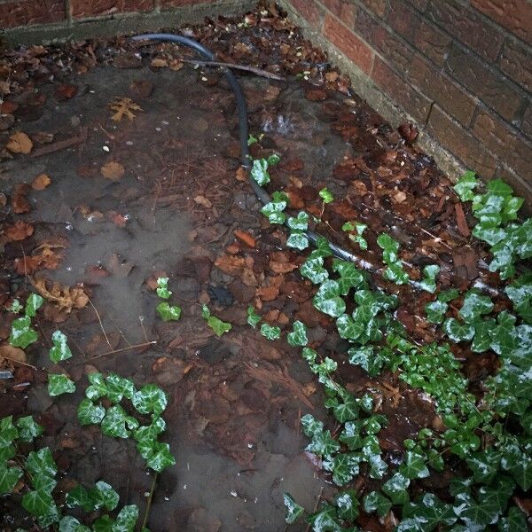 Drainage Repair Dallas Fort Worth | Dallas Drainage Solutions | Align ...